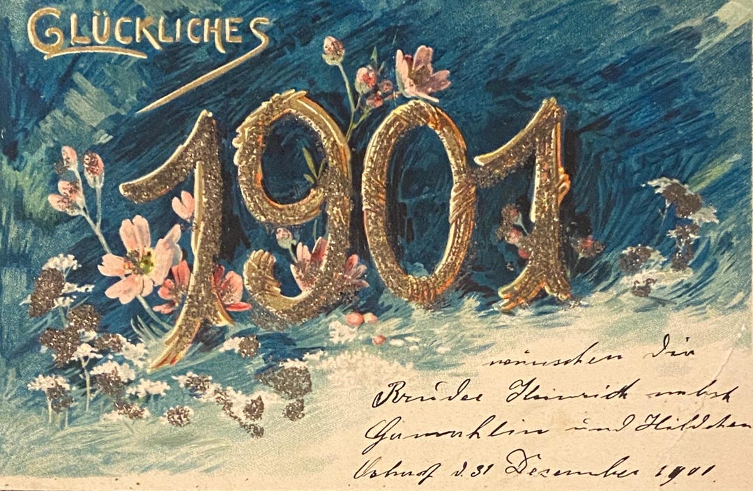 Glitter Antique German Postcard, Carnation Flowers 1901 UNWRITTEN - Etsy