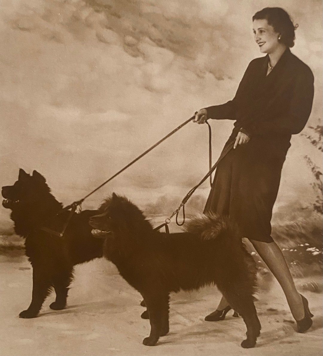 Lil Dagover (1887-1980) and Her Spitz Dogs Postcard, Glamorous Art Deco ...