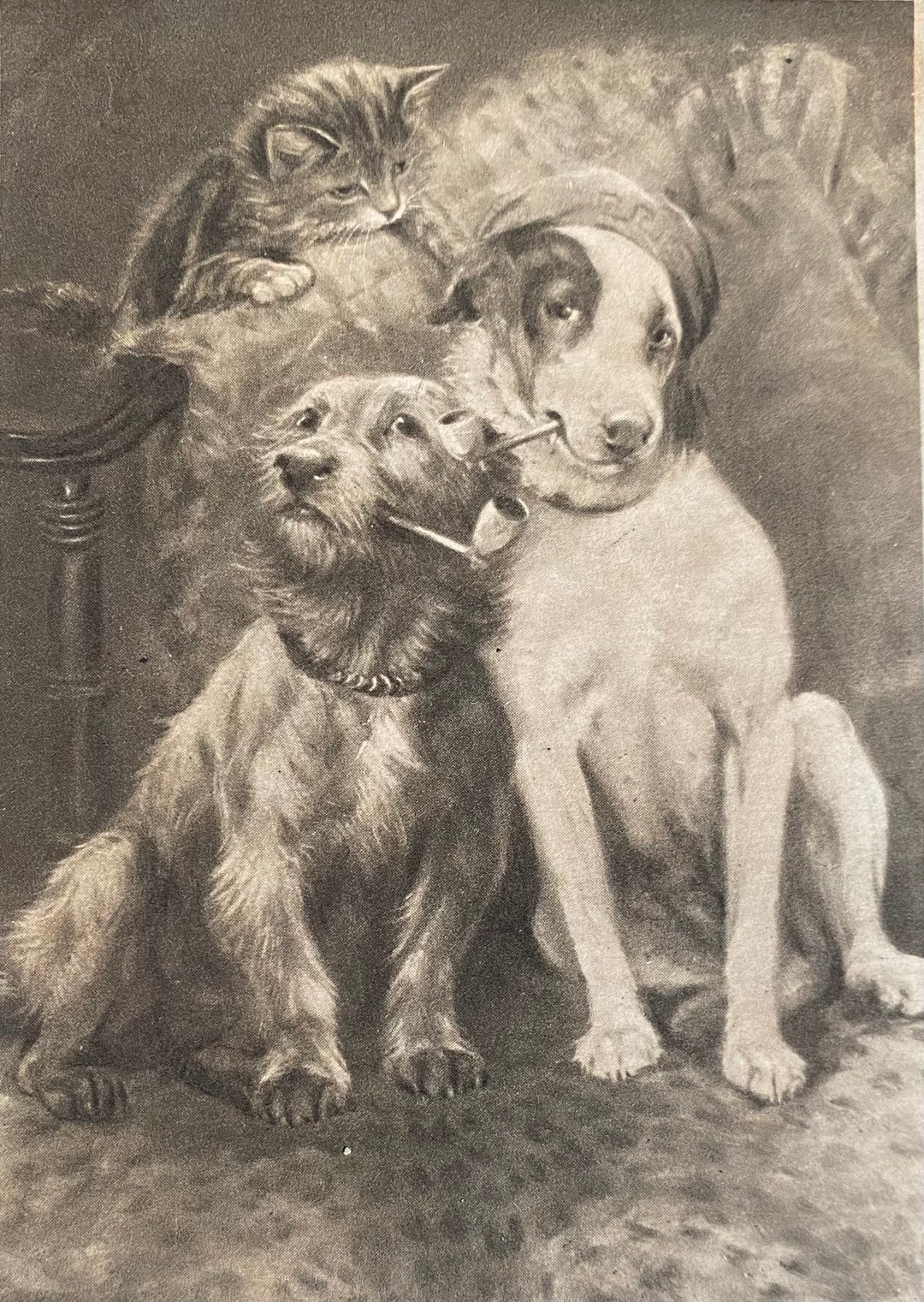 Two Cute Dogs Smoking Pipes Postcard, Anthromorphic, Two Little Men - Etsy