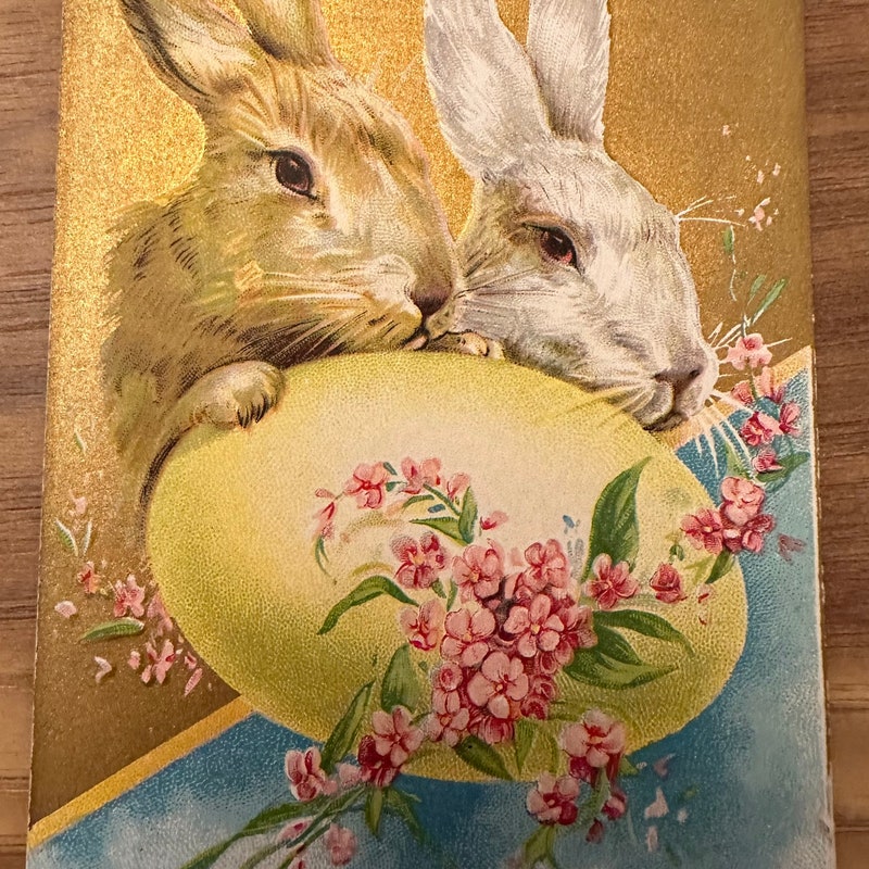 Bunny Postcard - Etsy