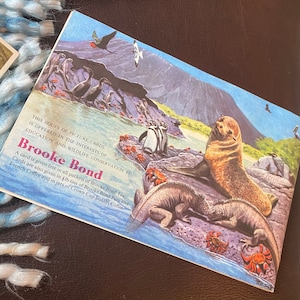 Wildlife in Danger Collectors Booklet Brooke Bond Tea 44 - Etsy