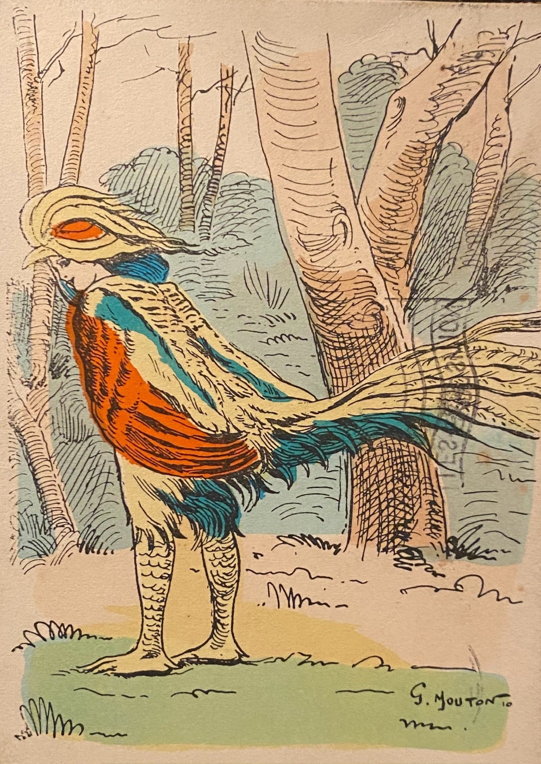 Antique French Postcard Humour, Dressed as a Chicken, French Artist ...