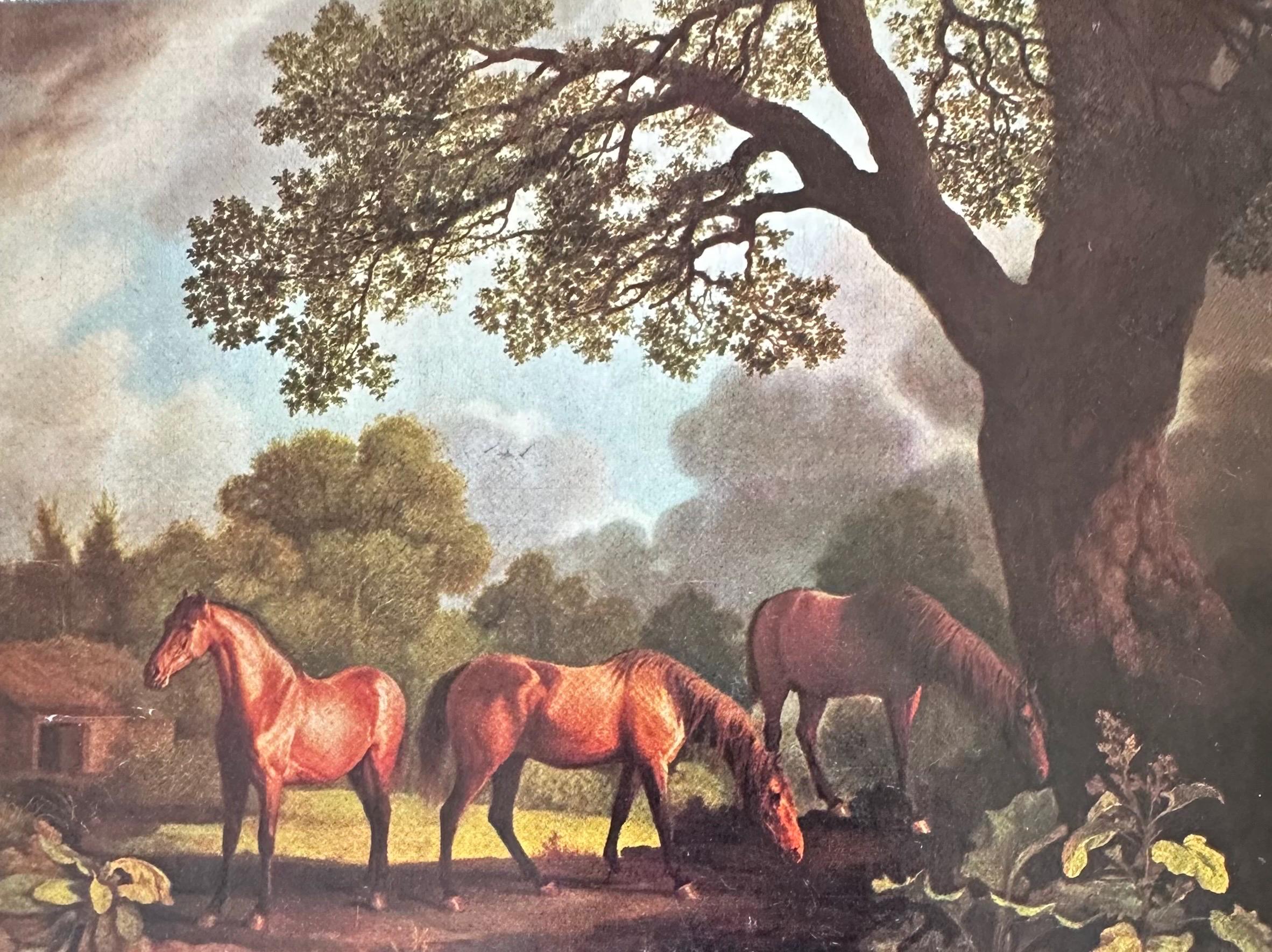 British Postcard, Walker Art Gallery 1990s // Artist George Stubbs ...