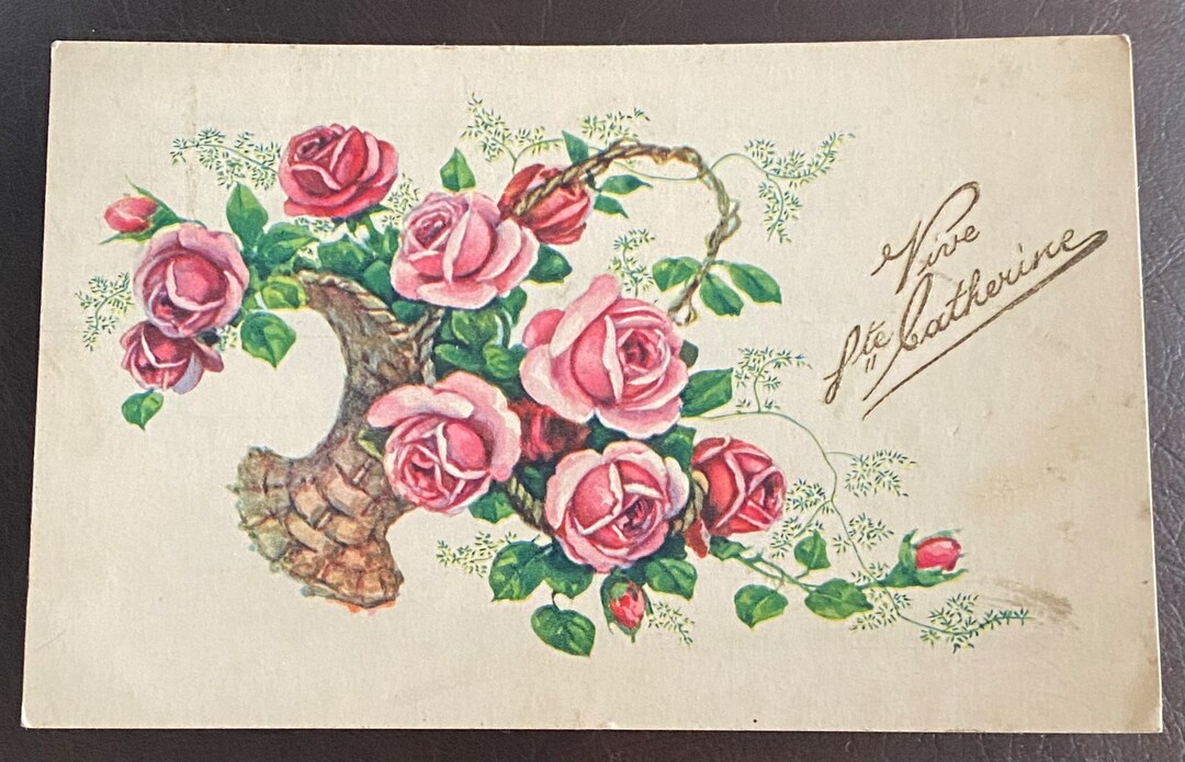 Pink Roses Postcard, Red Floral Display Basket, Saint Catherine Written ...