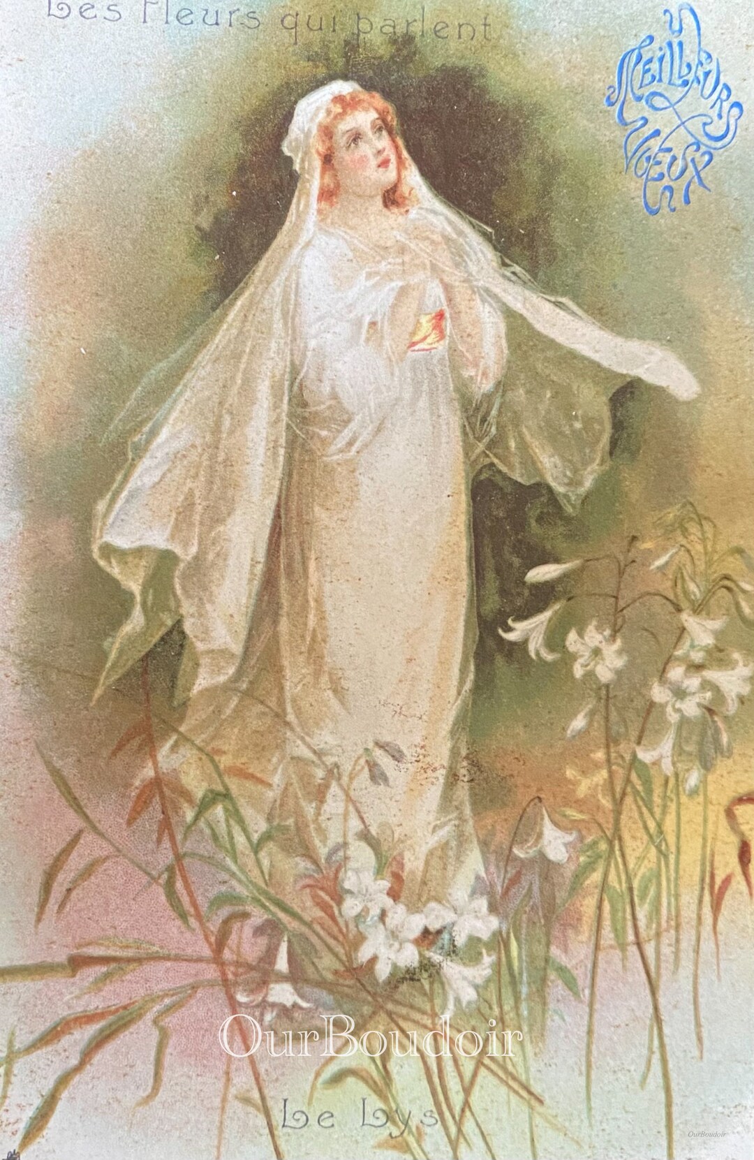 Art Nouveau Postcard, Lady in Thé Lilies, Published Raphael Tuck 1900s ...
