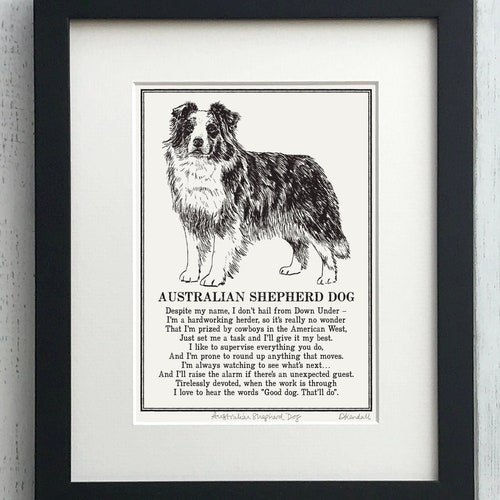 Australian Shepherd on Board Car Window Sticker Aussie Dog | Etsy UK