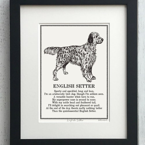 1930's Antique ENGLISH SETTER Print Prestbury Kennels - Etsy