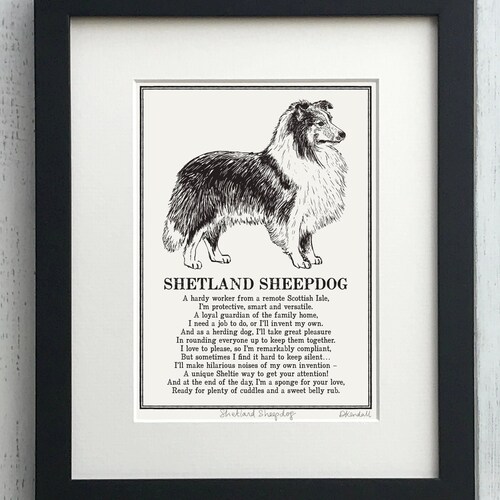 Sheltie Art Sheltie Print Sable Sheltie Shetland Sheepdog - Etsy