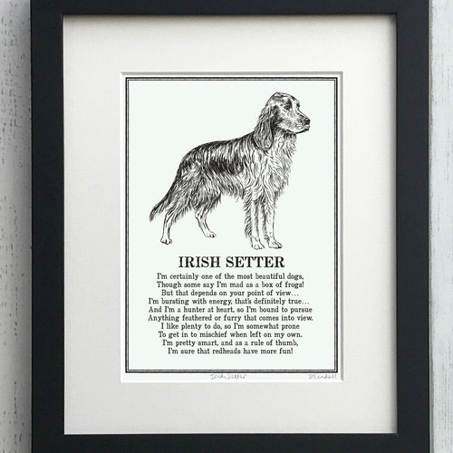 Vintage Irish Setter Print Wall Art Decor Edwin Megargee Irish - Etsy