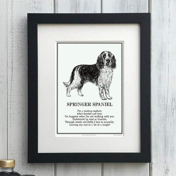Springer Spaniel Art - Etsy