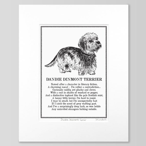 Are Dandie Dinmont Terriers Strangers