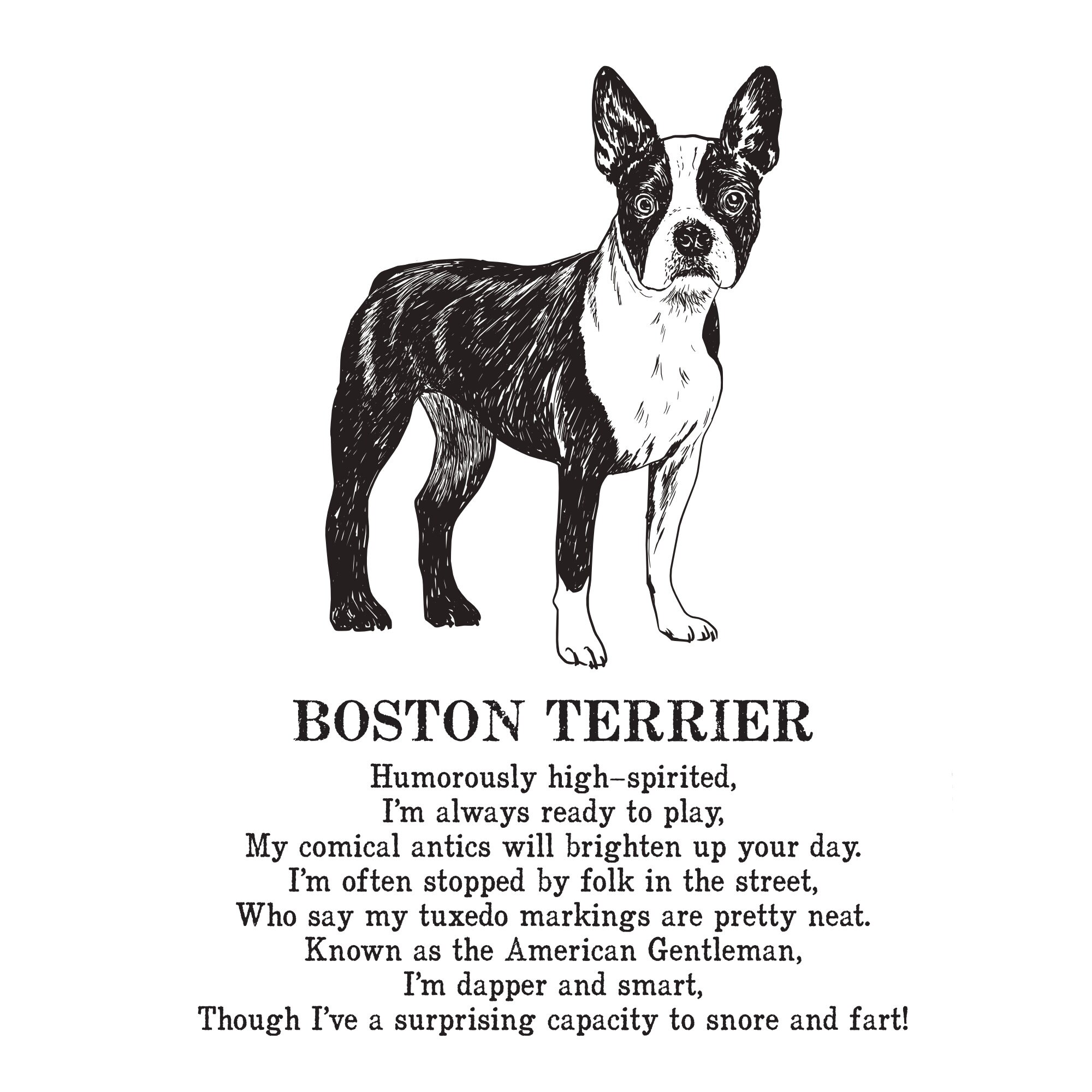 Boston Terrier Print: Personalised Illustrated Dog Art Poem - Etsy