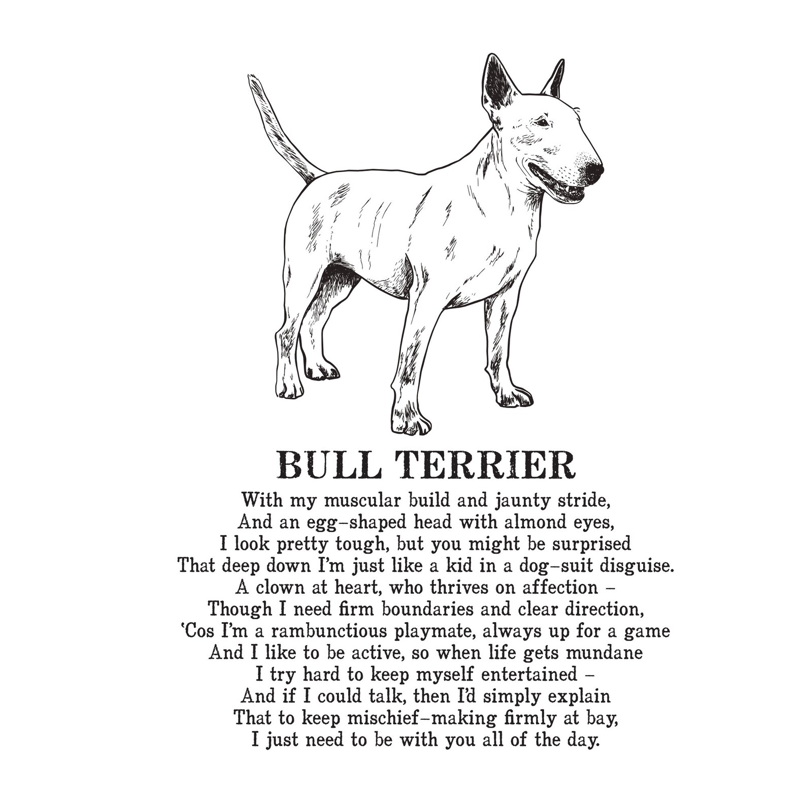 Bull Terrier Print: Personalised Illustrated Dog Art Poem - Etsy
