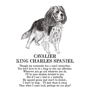 Cavalier King Charles Spaniel Print: Personalised Illustrated Poem - Etsy