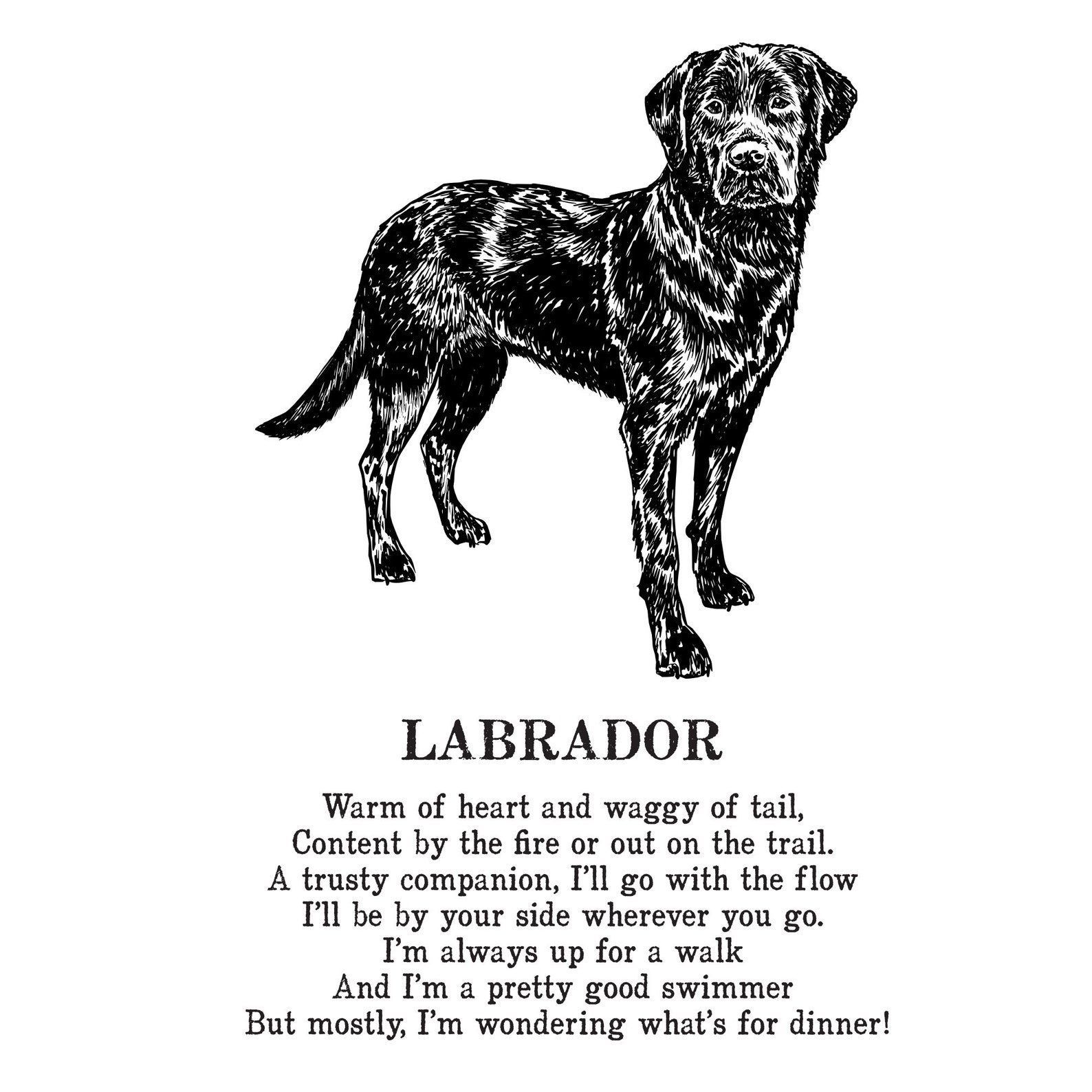 Labrador Print Illustrated Poem - Etsy