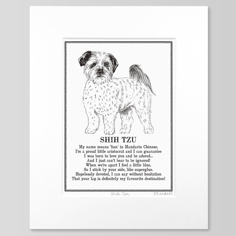 Shih Tzu Print Illustrated Poem - Etsy