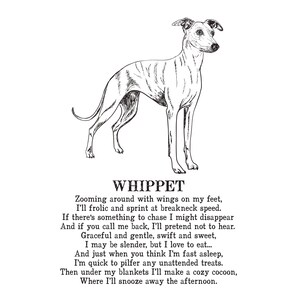 Whippet Print: Personalised Illustrated Dog Art Poem - Etsy