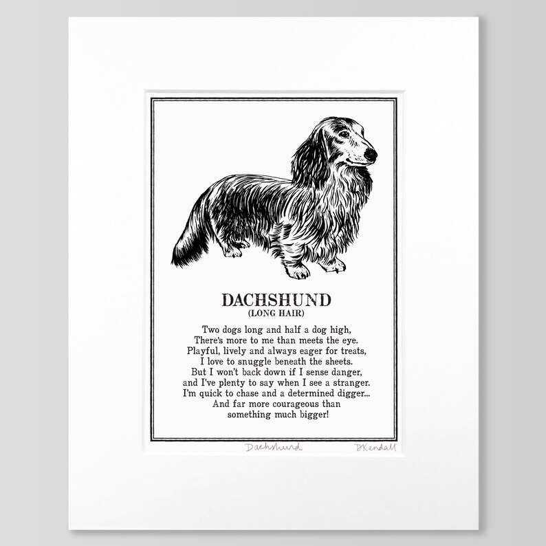 Dachshund Print: Wire, Smooth, Long Hair Personalised Illustrated Dog ...