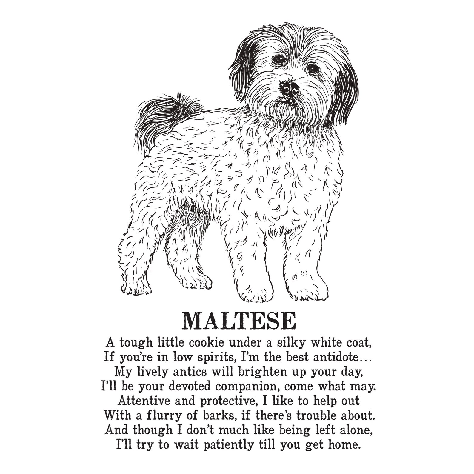 Maltese Print Illustrated Poem | Etsy