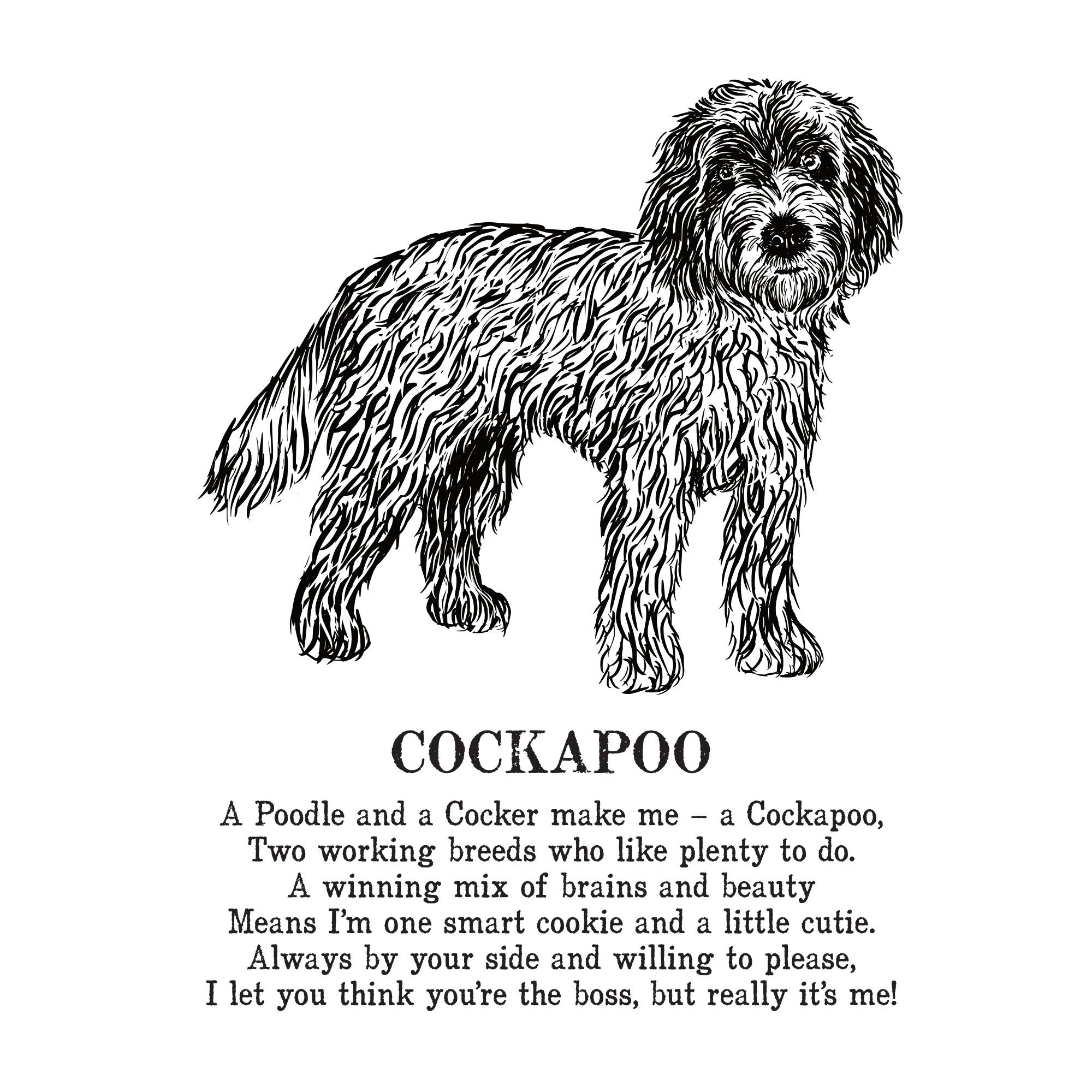 Cockapoo Print Illustrated Poem | Etsy