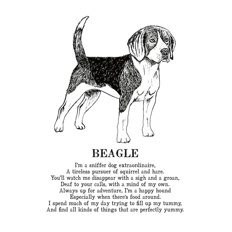 Beagle Print Illustrated Poem - Etsy