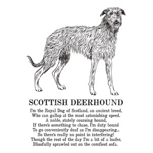 Scottish Deerhound Print Illustrated Poem, Dog Owner Gift, Personalised ...