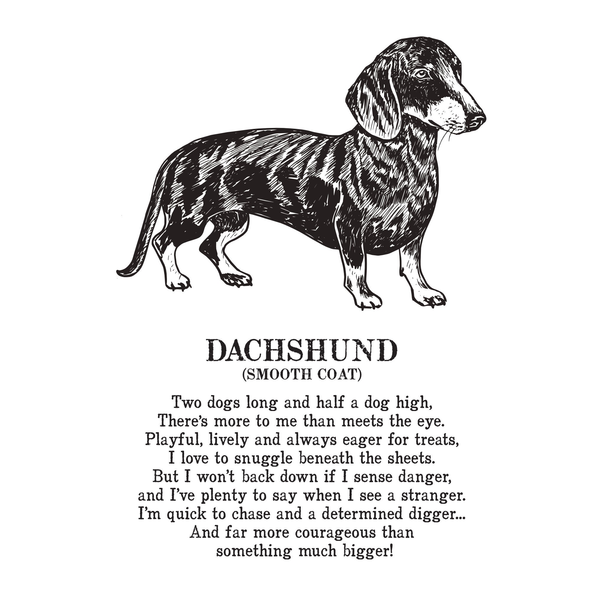 Dachshund Print: Wire, Smooth, Long Hair Personalised Illustrated Dog ...