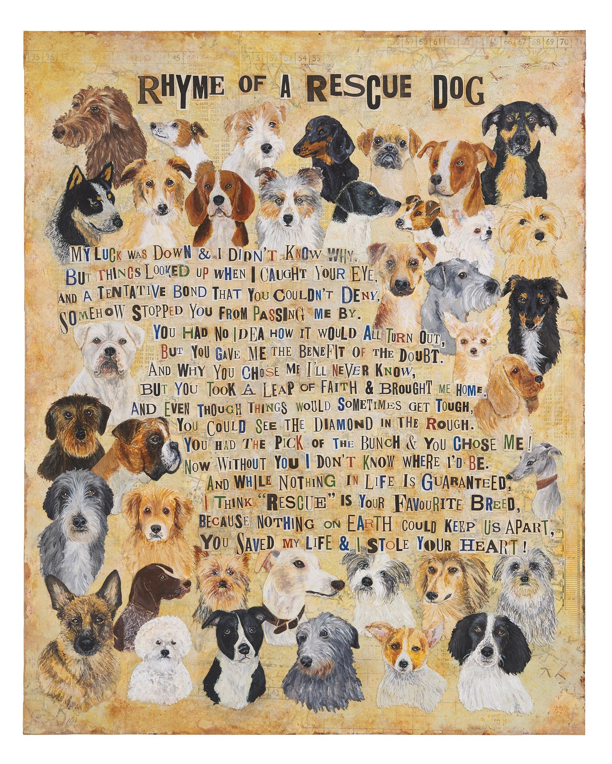 I Am An Animal Rescuer Poem