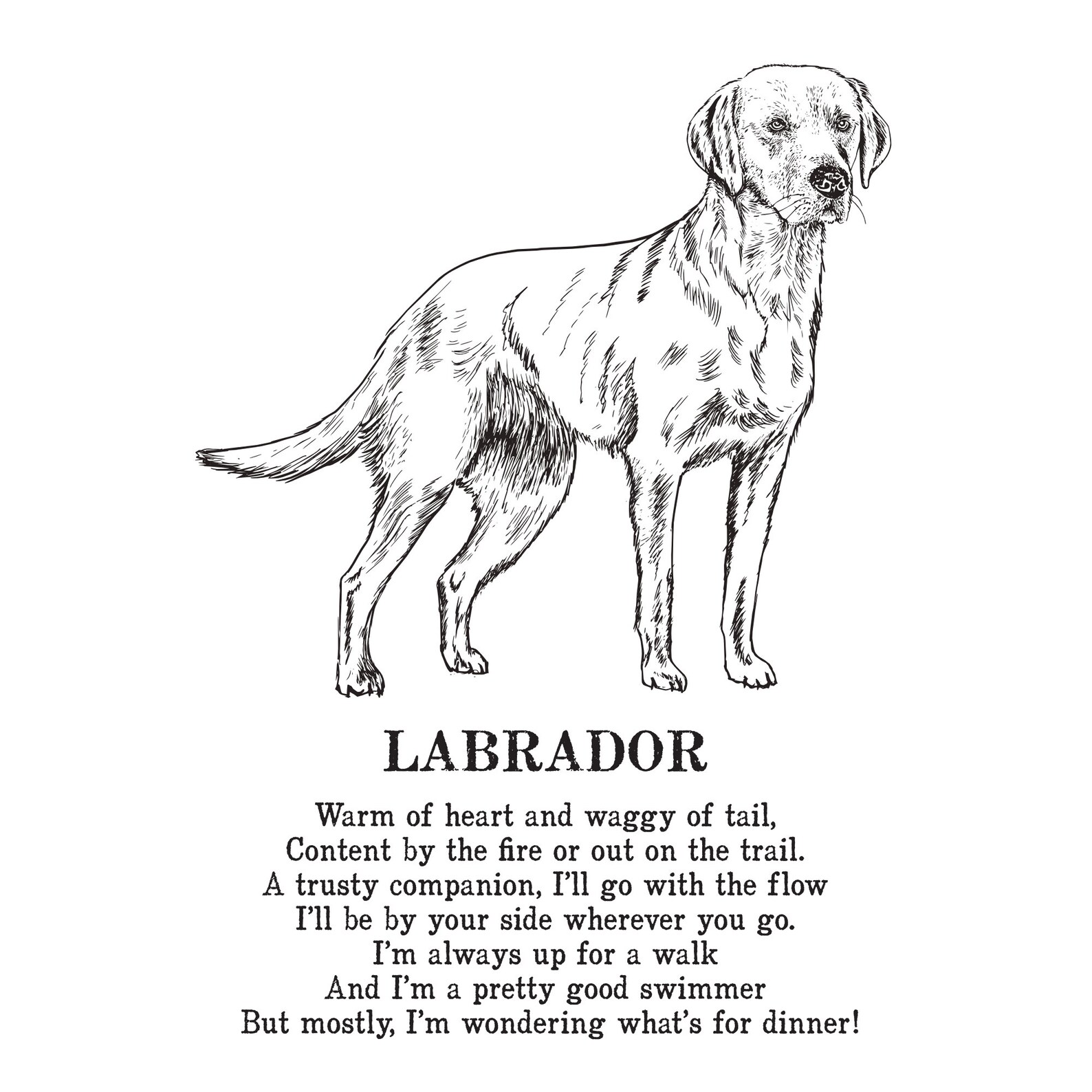 Labrador Print: Yellow, Chocolate or Black Personalised Dog Illustrated ...
