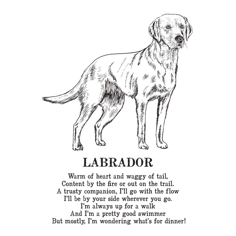 Labrador Print Illustrated Poem - Etsy