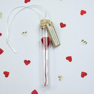 Red Paper Rose in A Glass Vial - Personalised Red Paper Rose - Red Rose ...