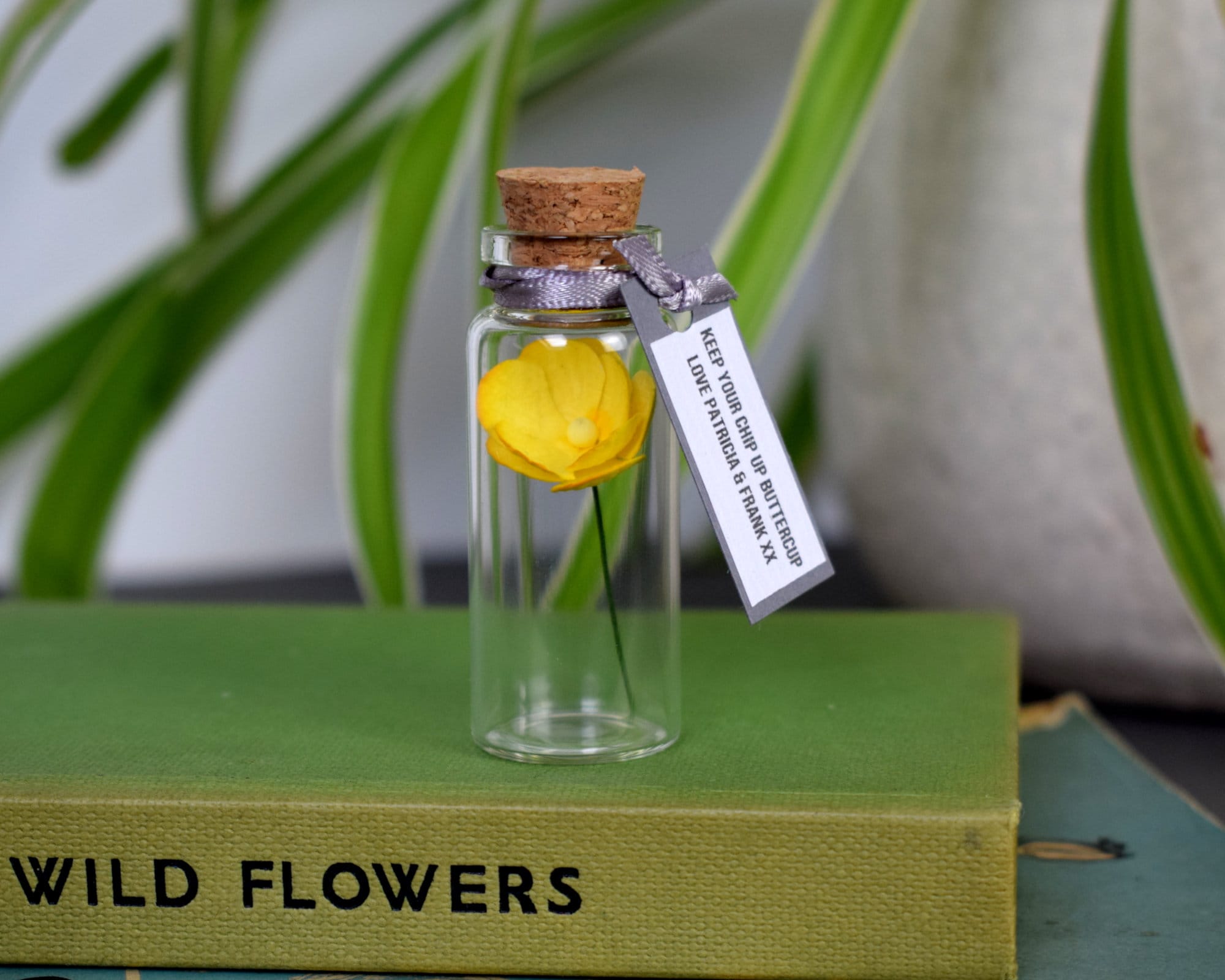 Tiny Buttercup in A Bottle Personalised Gift - Etsy