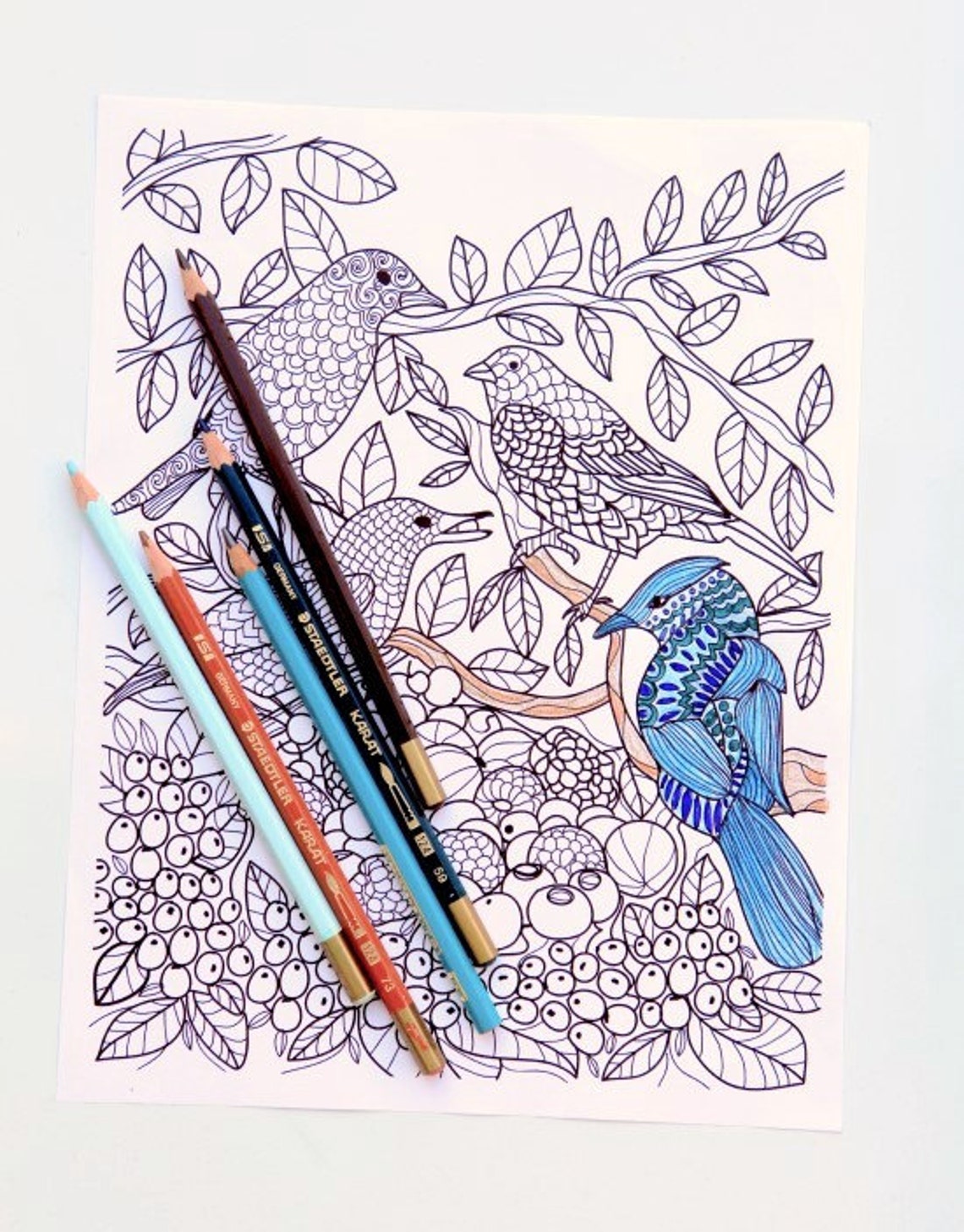 Printable Garden Lovers Coloring Book for Gardeners and Nature Lovers ...