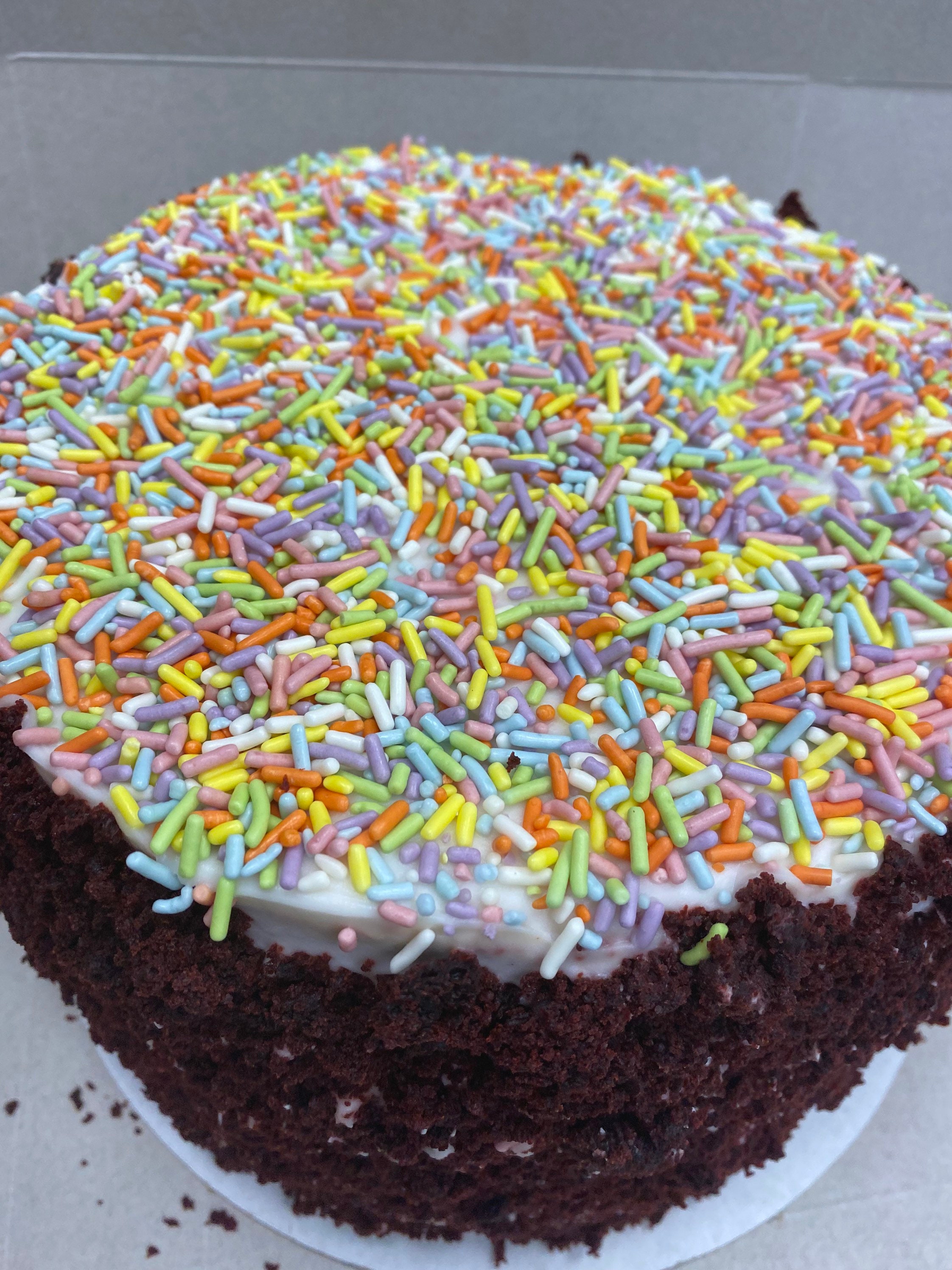 Vegan Chocolate vanilla rainbow sprinkles crumb cake 8” dairy free, egg ...