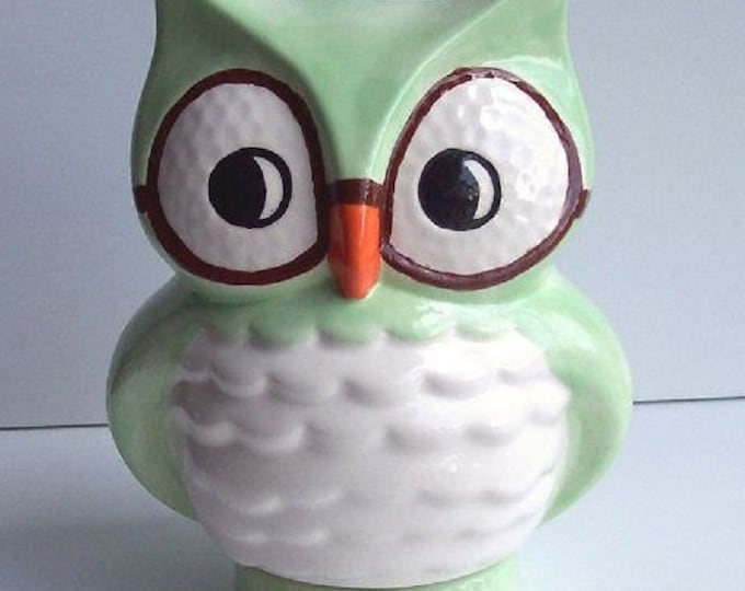 Unpainted Ceramic Owl Bank: DIY Piggy Bank, Ready to Paint - Etsy