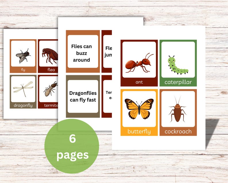 Insects and Their Abilities | Printable Kids Flashcards | Fun Learning ...