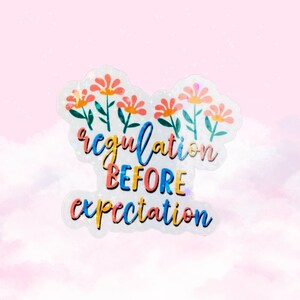 ABA Sticker, Regulation Before Expectation, Holographic Behavior ...