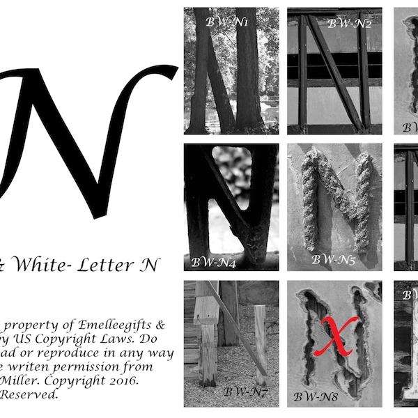 Alphabet Photography - Etsy