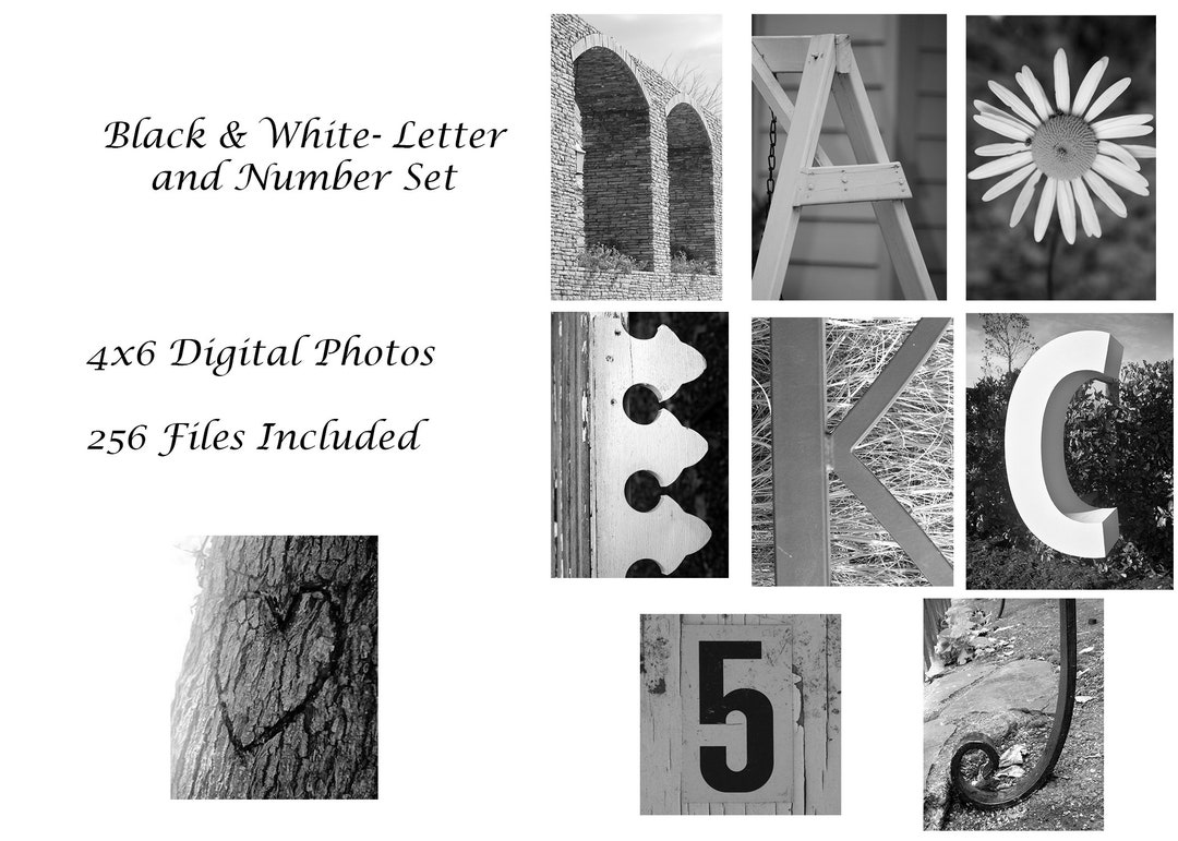 Alphabet Letter Art Photography~ 4x6 Digital Print ~ 256 Letter Photos ...
