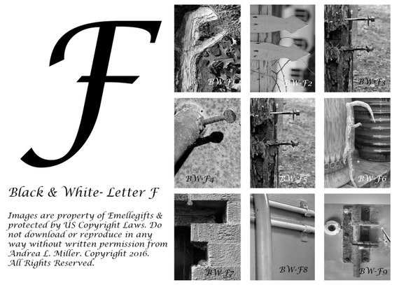 Alphabet Letter F Art Photography 4x6 Digital Print | Etsy