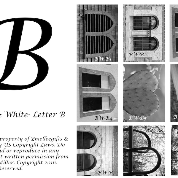 Alphabet Photography - Etsy