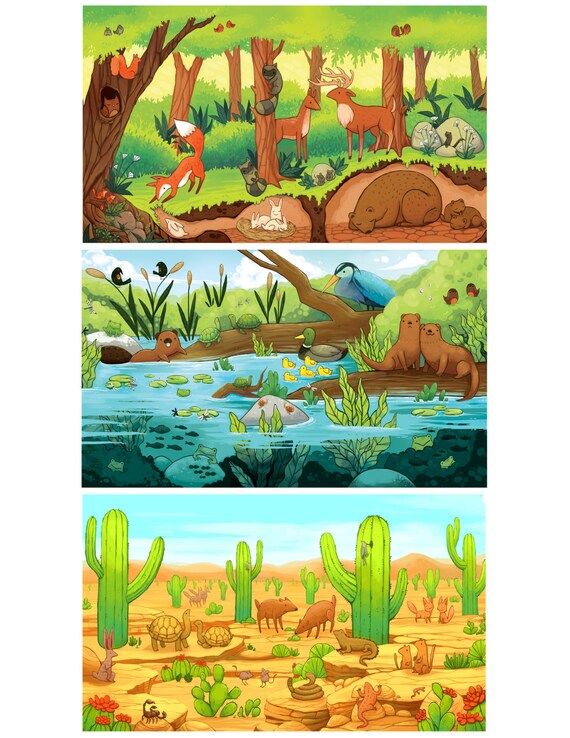 Desert Biome Drawings
