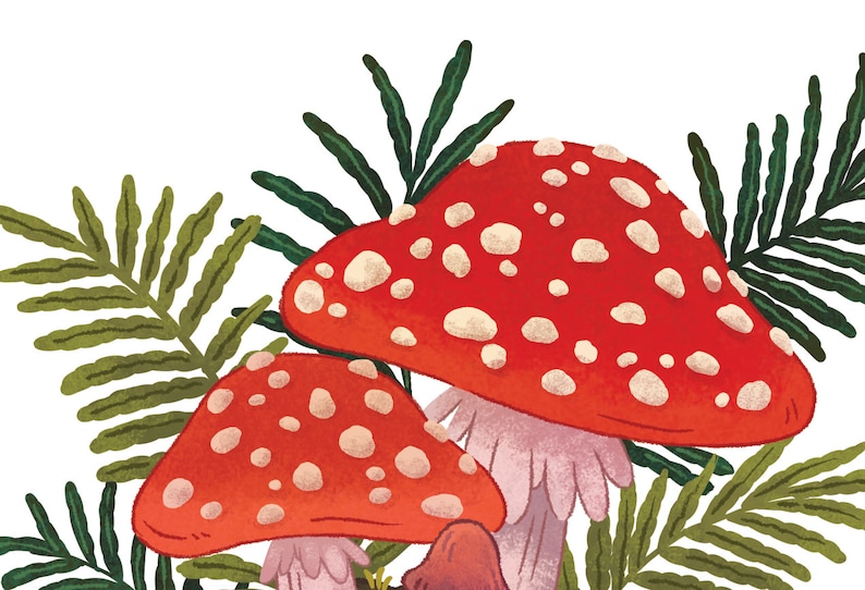 Mushroom Plant Turtle Illustration Print 8by10 8.5 by 11 | Etsy