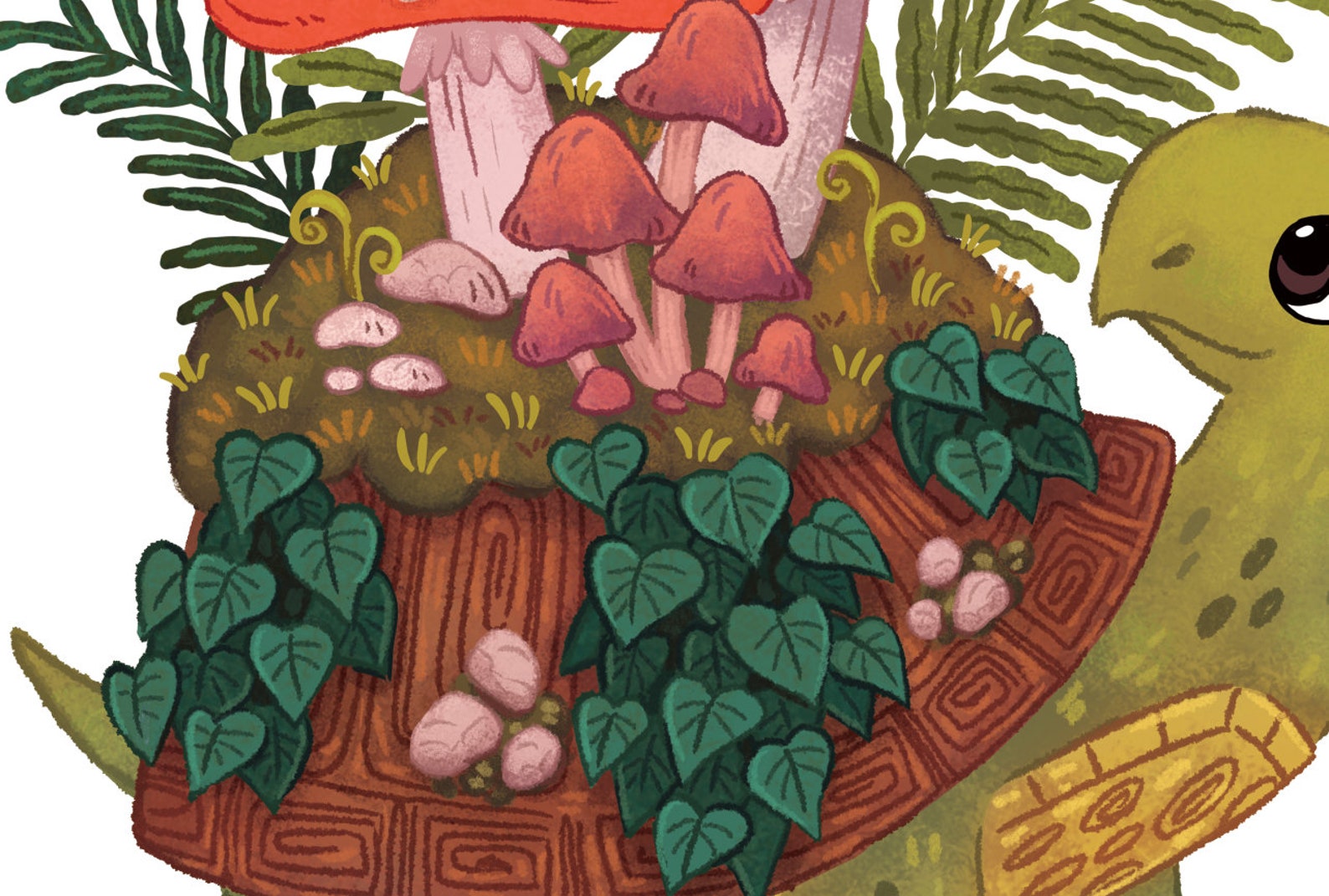 Mushroom Plant Turtle Illustration Print 8by10 8.5 by 11 | Etsy