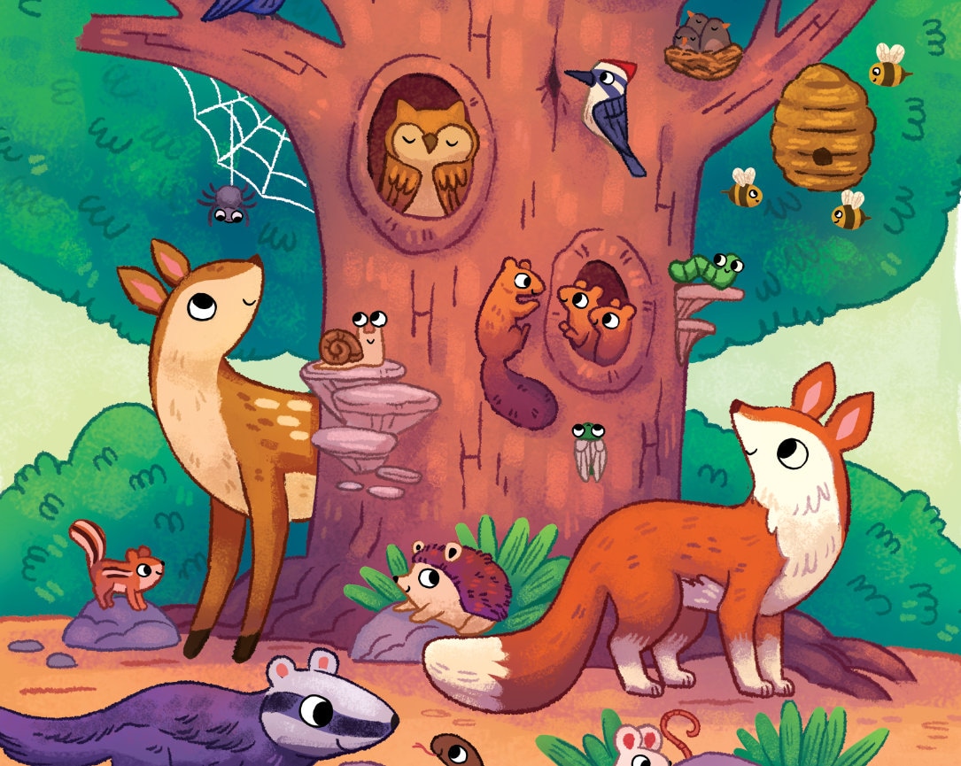 Woodland Forest Habitat Cartoon