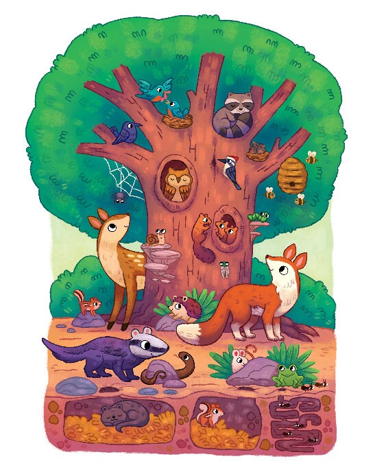 Forest Ecosystem Drawing