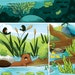 Pond and River Ecosystem Print, Children's Room Artwork, Educational, 8 ...