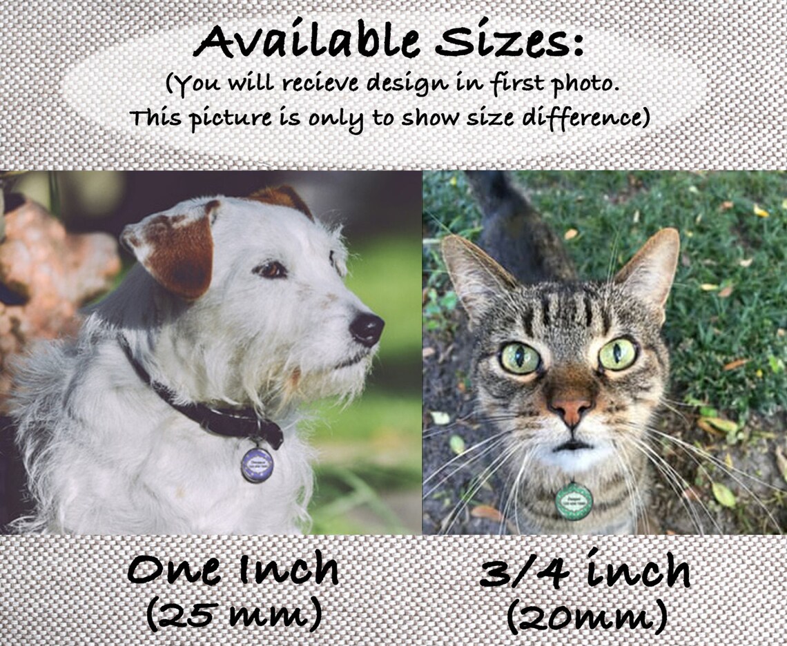 Pet Id Tag One Inch Round CAT ID Small Breed Dog Tag Dog Tag - Etsy