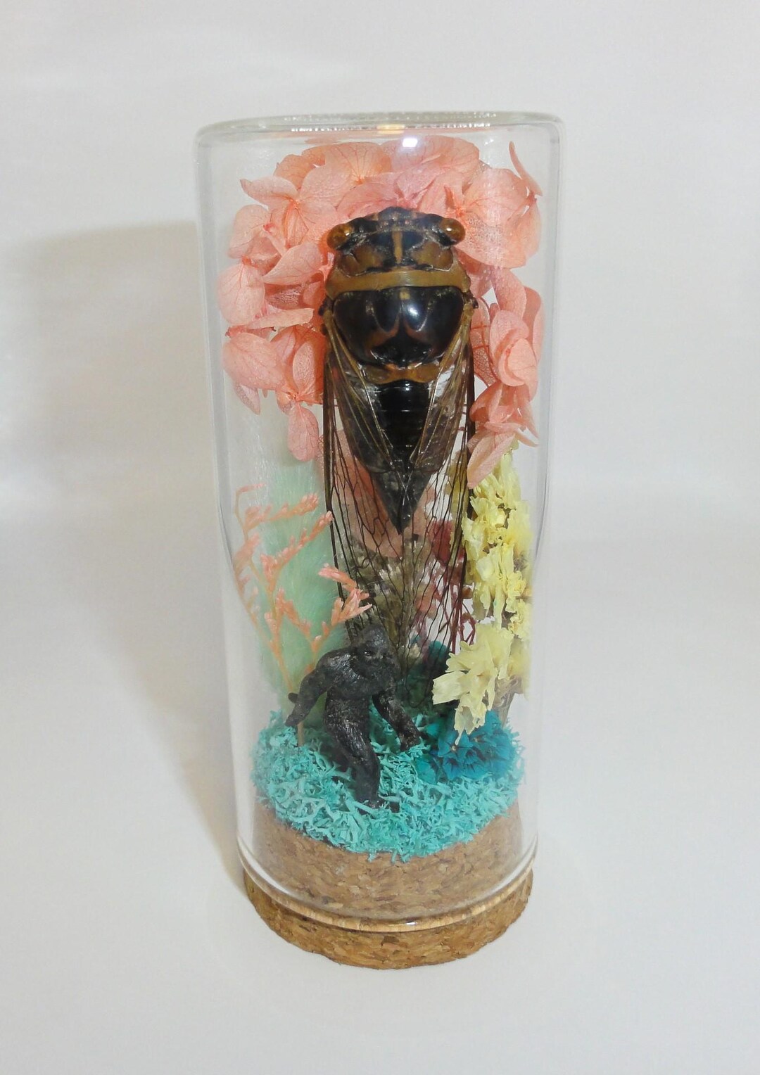 Cicada & Bigfoot Oddity Jar Curiosity Dome Cryptid - Etsy