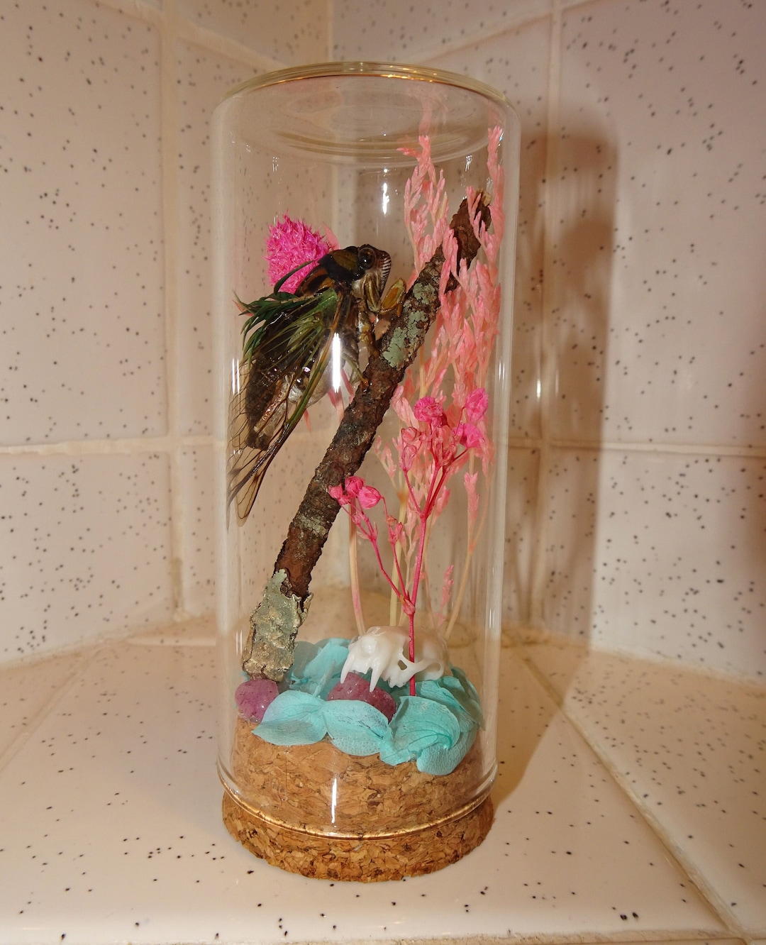 Cicada & Faux Mink Skull Terrarium Specimens - Etsy